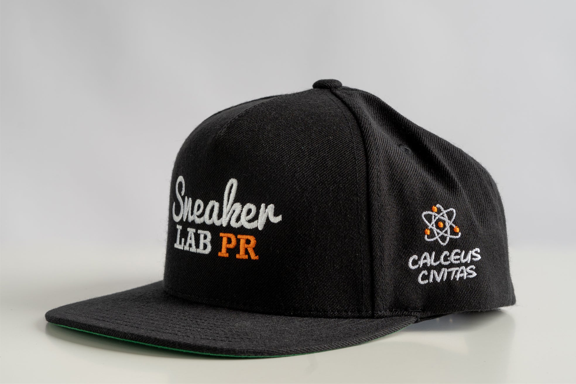 SNEAKERLAB HAT – SNEAKERLABPR